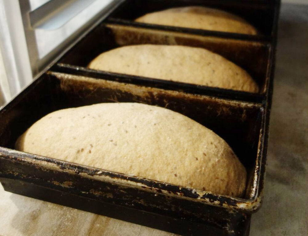 Breaducation: Vermont Maple Biscuits | August First Bakery